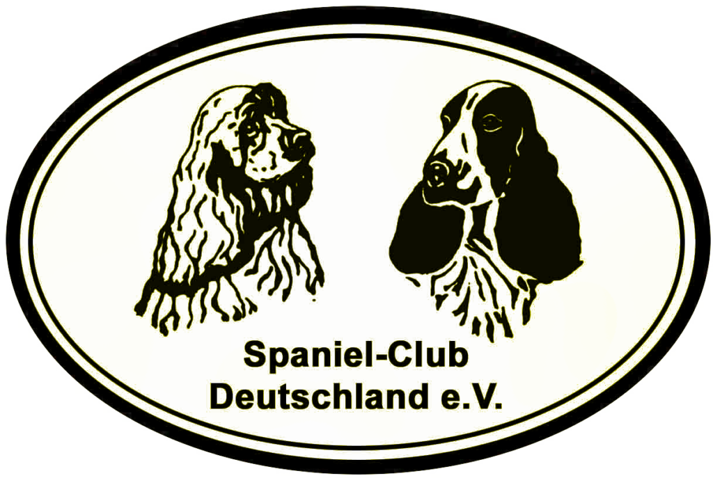 Meine Hunde – Wibo's Cocker Spaniel